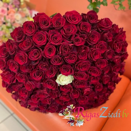 101 Sarkana Roze - Romantiska Dāvana No Sirds | Rīgas Ziedi
